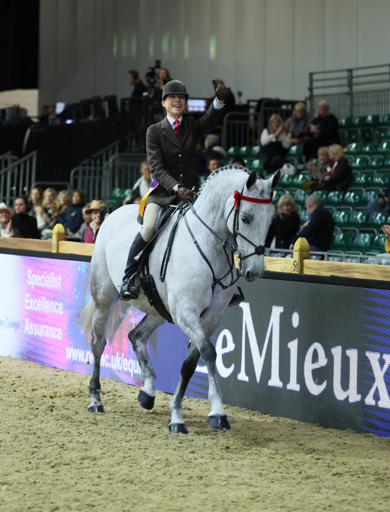 | The British Show Horse Association